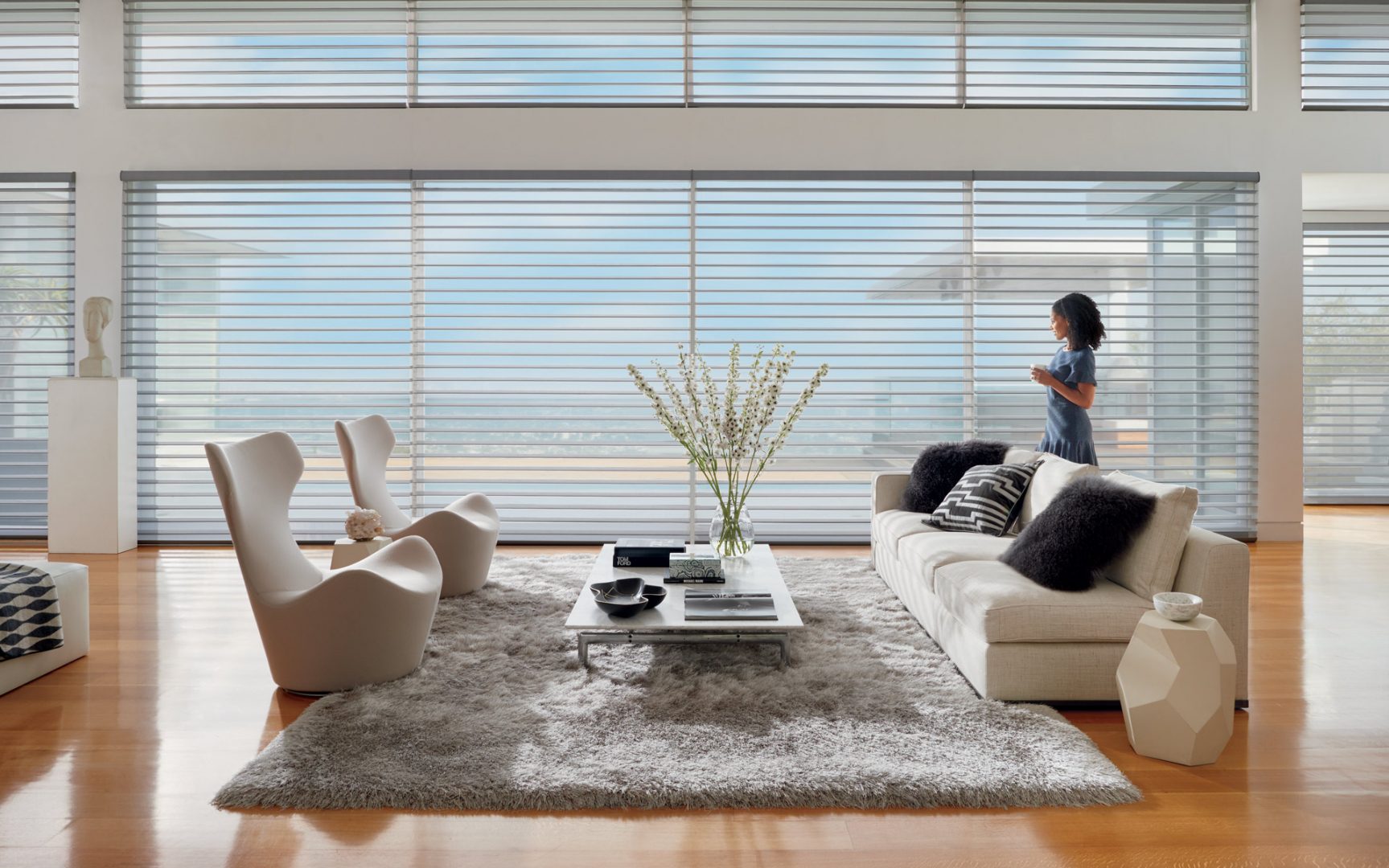 Window Shades & Sheers | Night & Day Decor